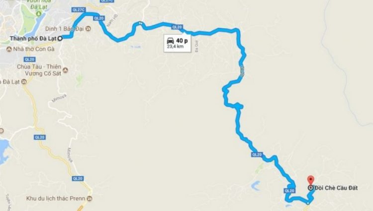 Du lịch đồi chè Cầu Đất – Đà Lạt cần quan tâm những điều gì?